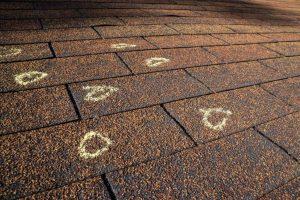 Roof Shingle Blisters: Causes, Effects, and Solutions