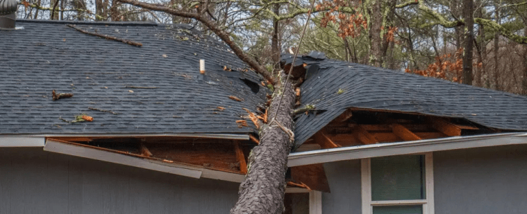 How Does It Feel To Fall From A House Roof? Understanding the ...